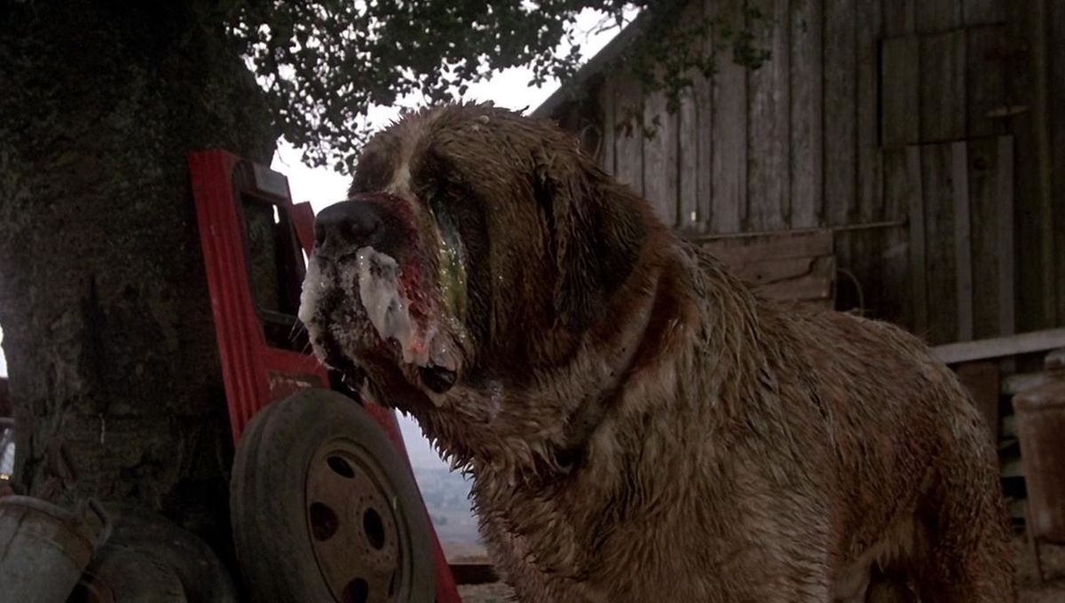 10 adaptações sinistras de Stephen King para ver no streaming